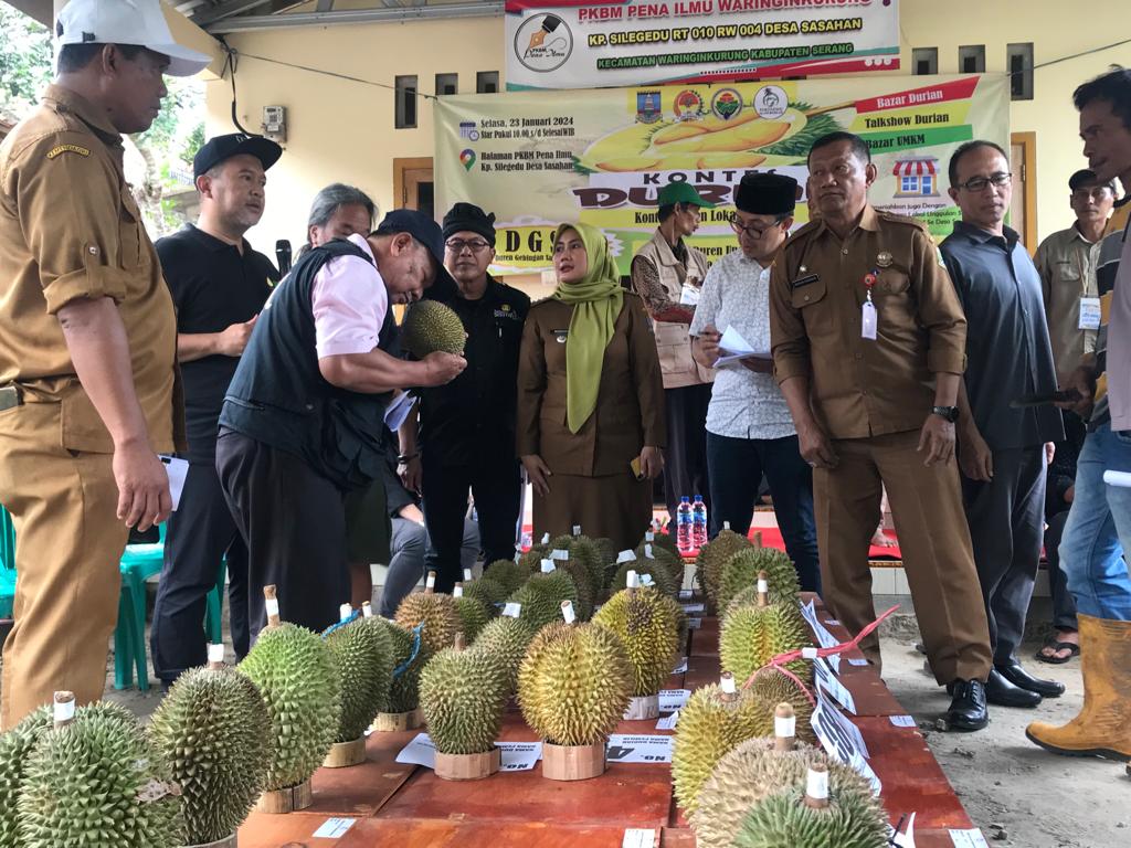 Desa Sasahan Waringinkurung Gelar Kontes Durian Lokal Geblugan, Juri ...