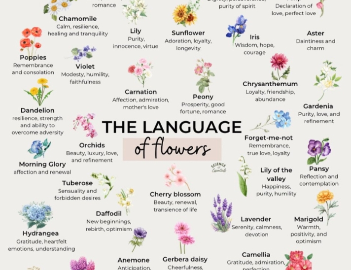 Makna Beberapa Bunga yang jadi Hadiah, Kenali Jenisnya - zetizens.id